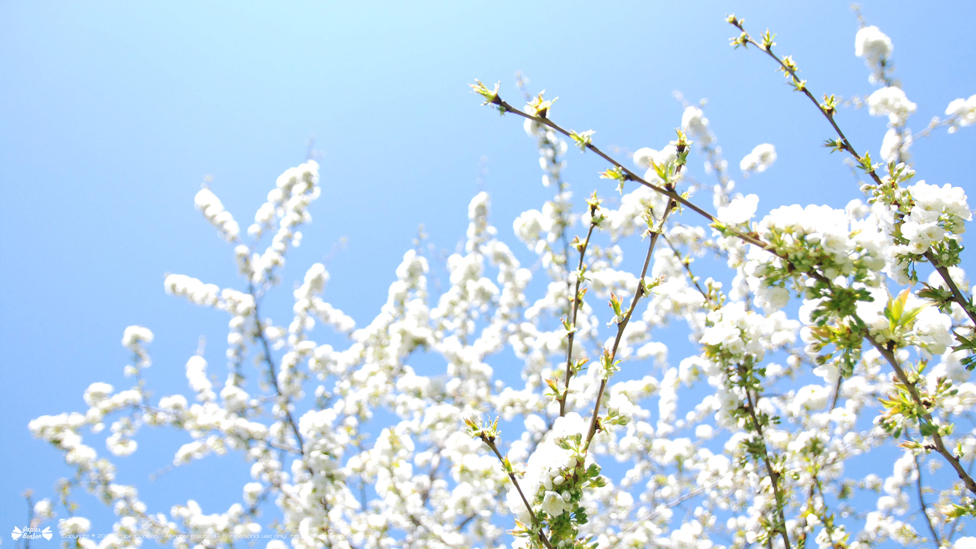 Printemps Wallpapers - Wallpaper Cave