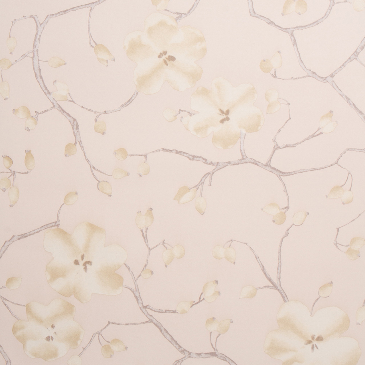 Cream Spring Wallpapers - Wallpaper Cave