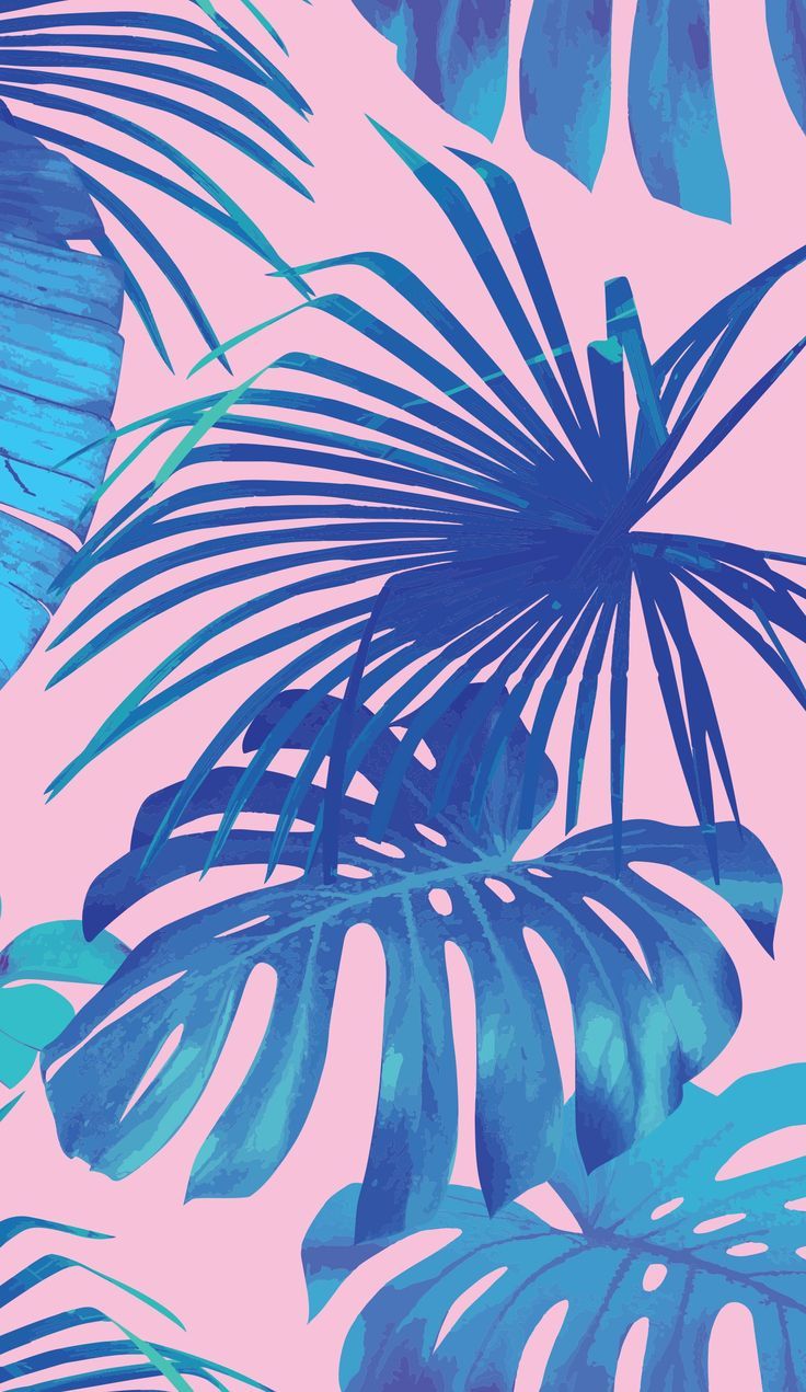 Wix Wallpapers - Wallpaper Cave