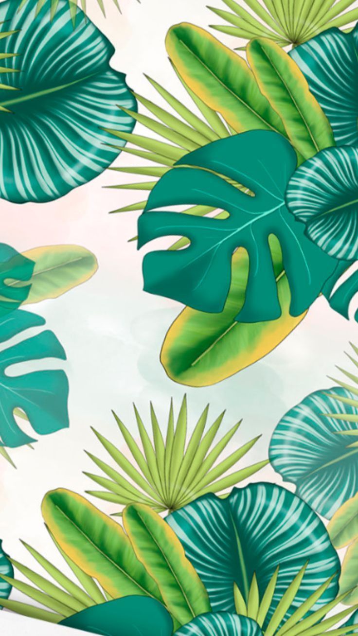 Wix Wallpapers - Wallpaper Cave