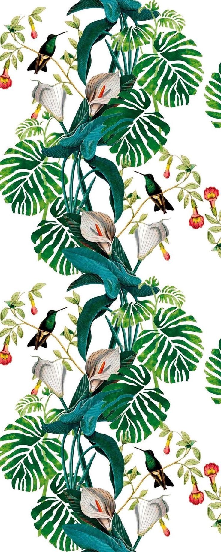 Wix Wallpapers - Wallpaper Cave