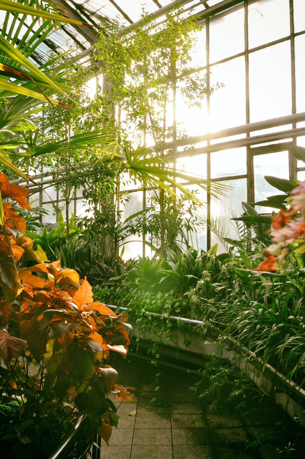 Botanical Garden Wallpapers - Wallpaper Cave