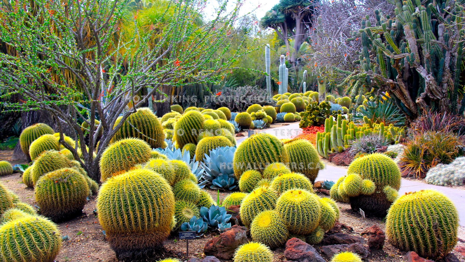 Botanical Gardens Wallpaper