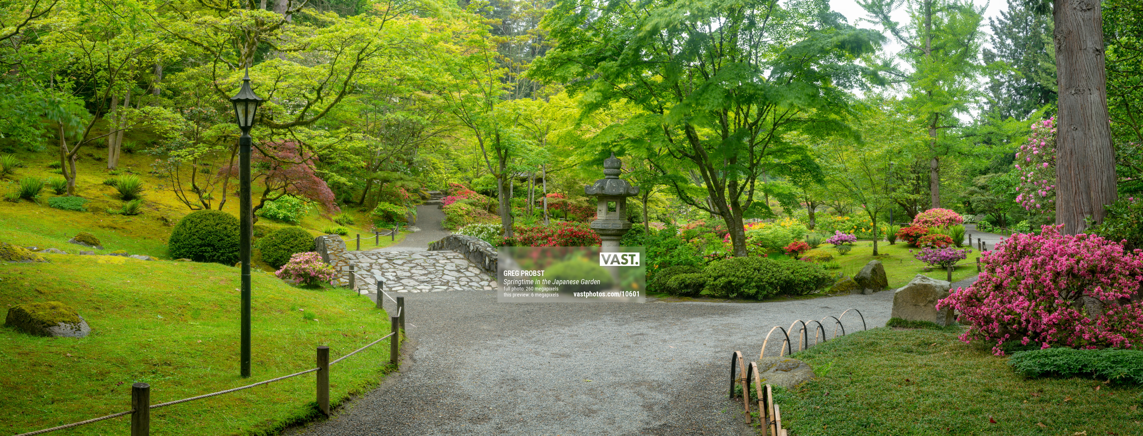 Botanical Garden Wallpapers - Wallpaper Cave