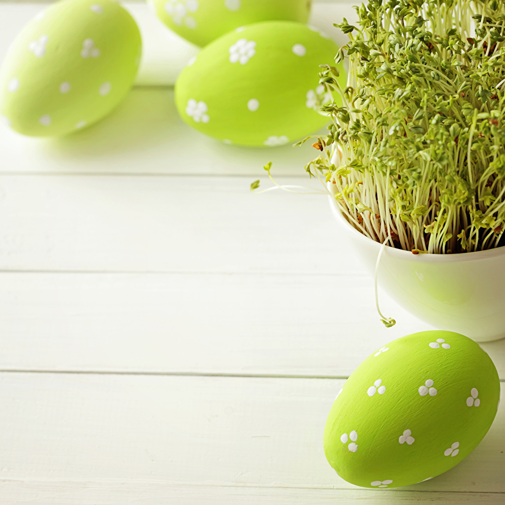 Green Easter Wallpapers - Wallpaper Cave