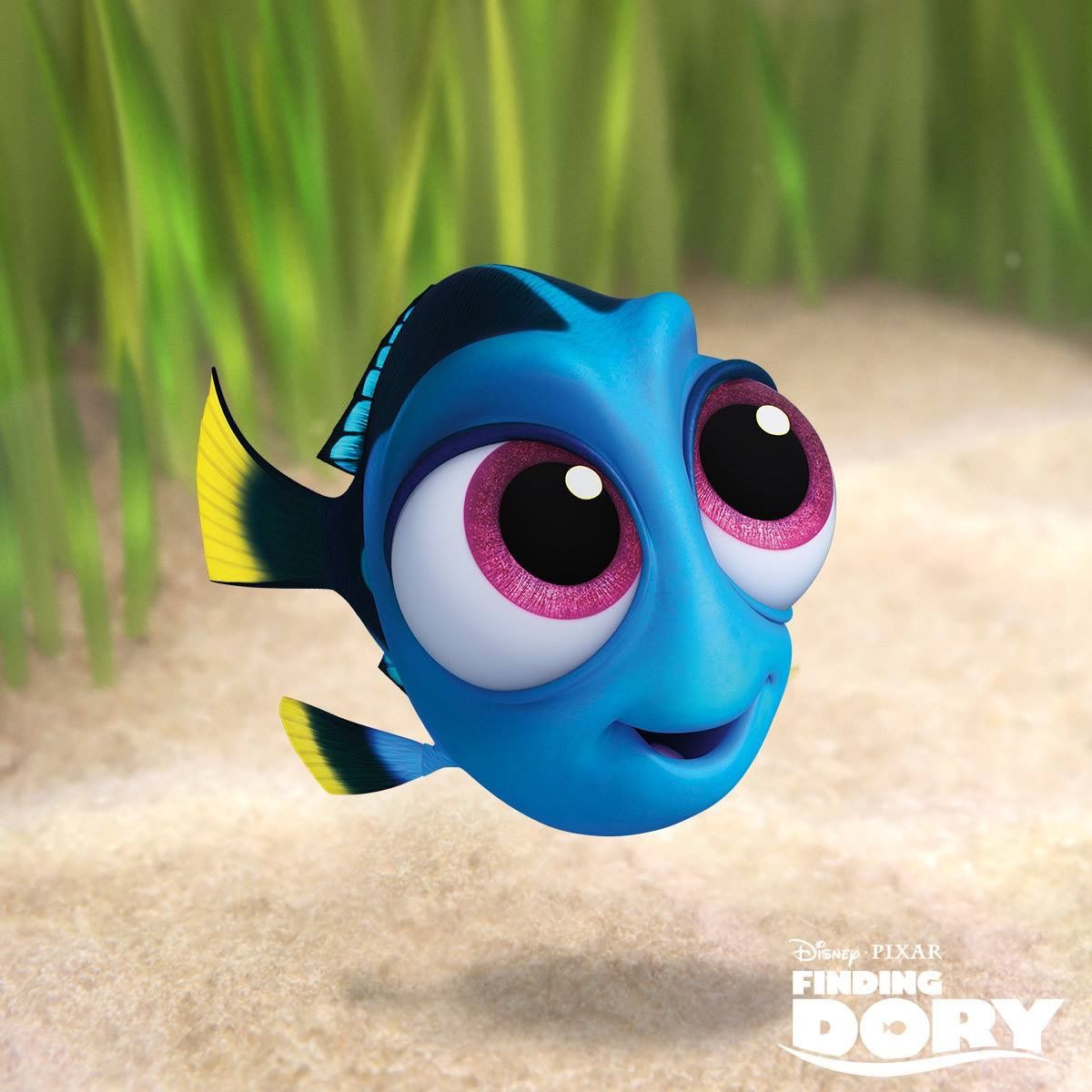 Baby Dory Wallpapers - Wallpaper Cave