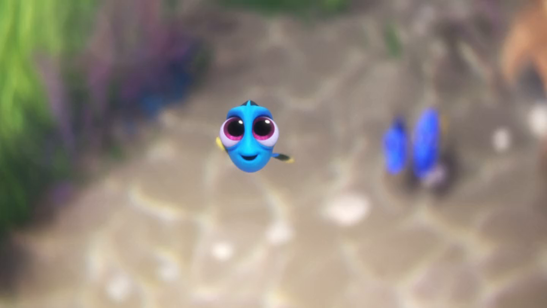 Baby Dory Wallpapers - Wallpaper Cave