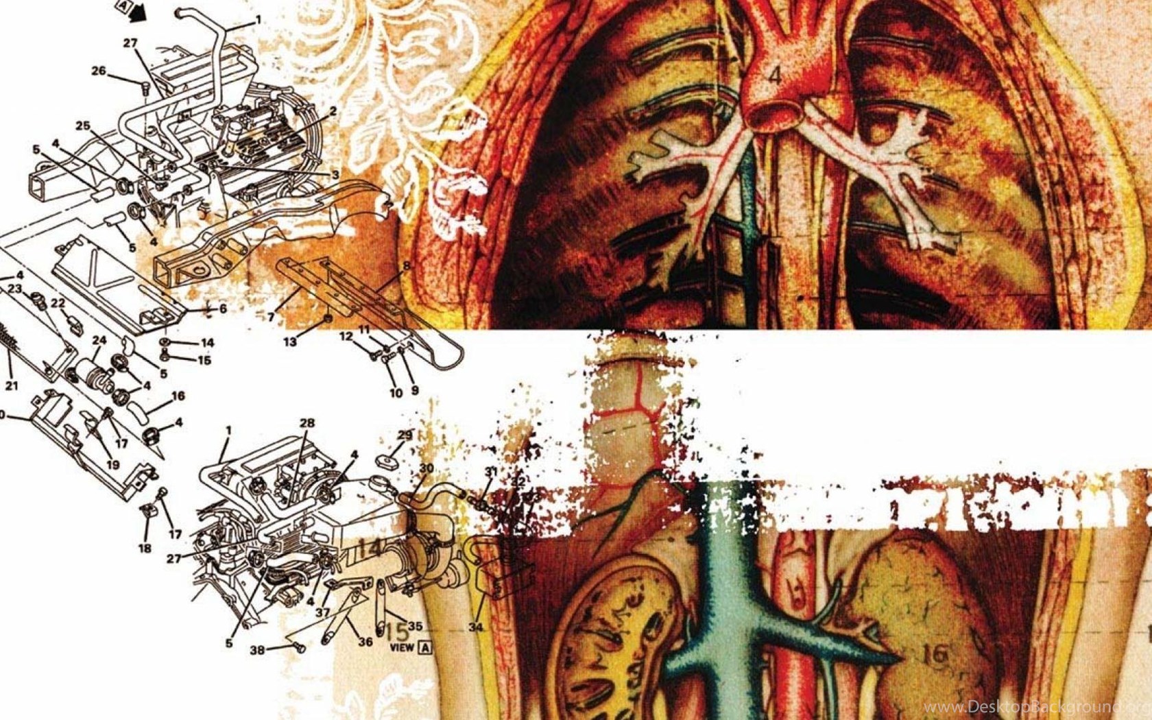 Human Art Wallpapers - Wallpaper Cave