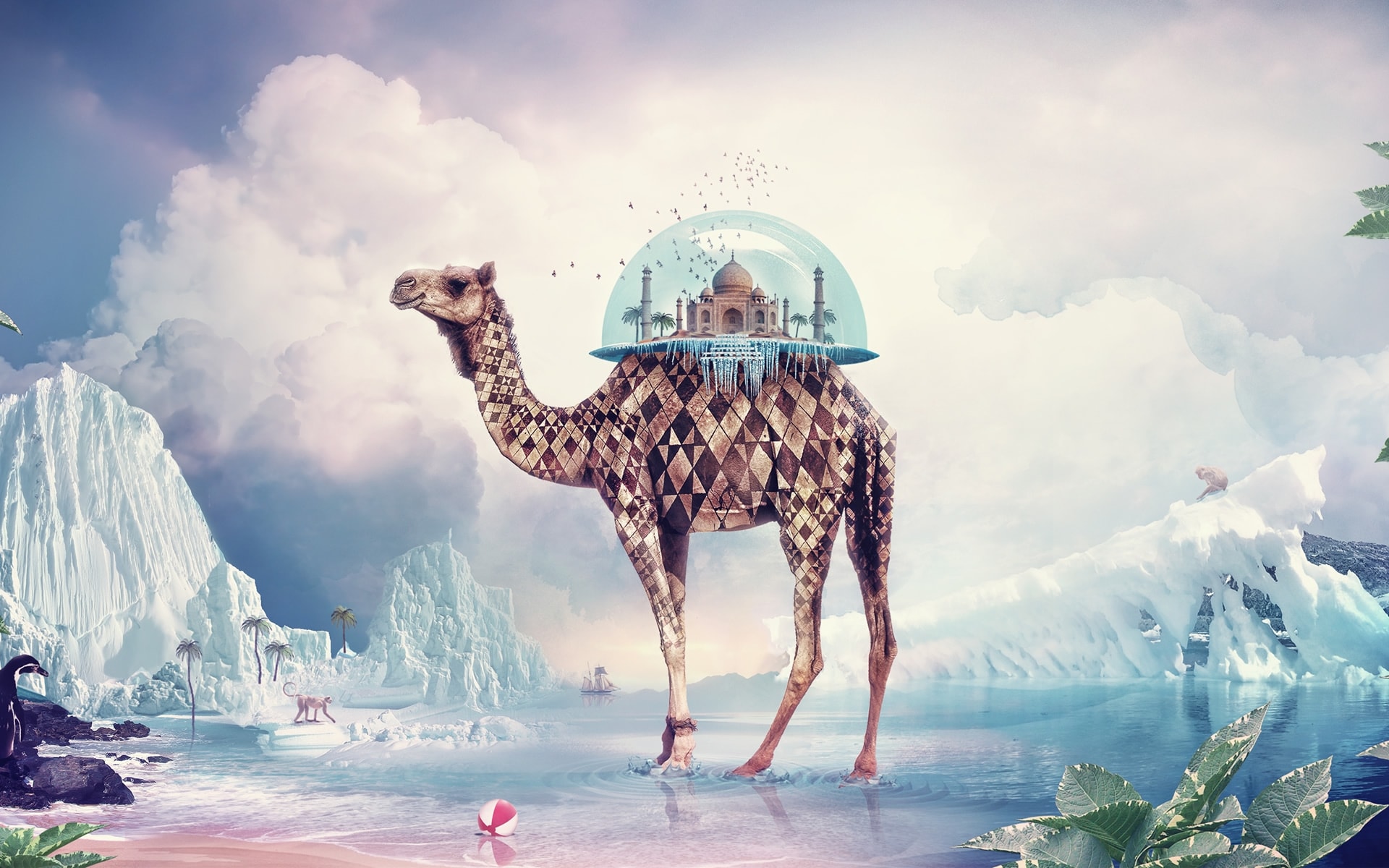 Camel Band Wallpapers - Wallpaper Cave