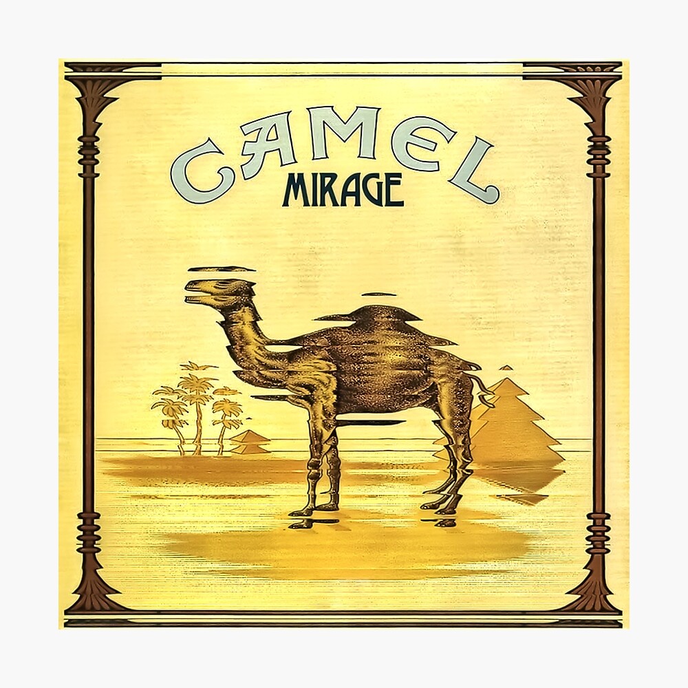 Camel Band Wallpapers - Wallpaper Cave