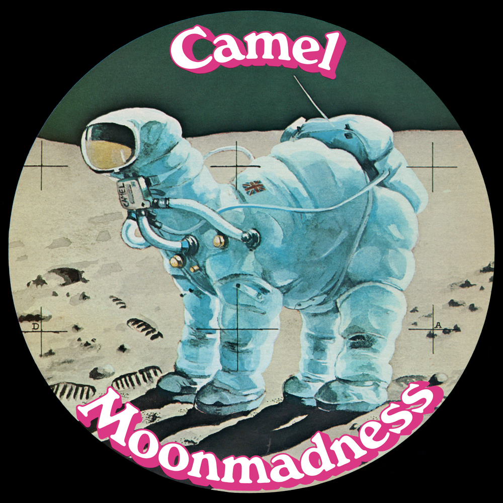 Camel Band Wallpapers - Wallpaper Cave