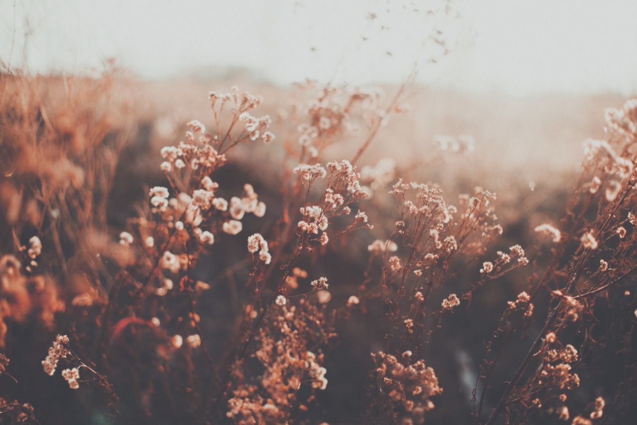 Spring Laptop Aesthetic Wallpapers - Wallpaper Cave