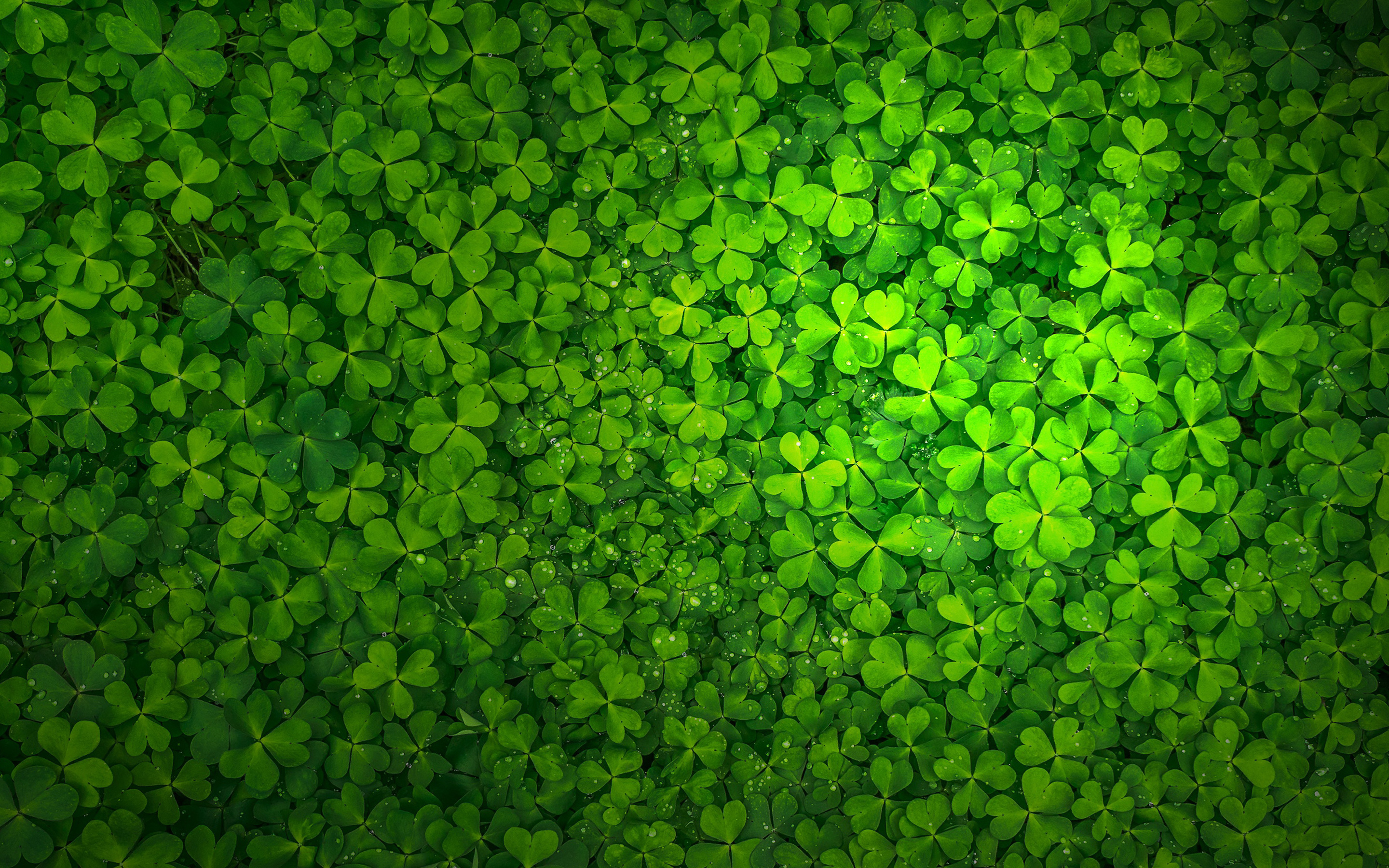 St.Patrick Day Laptop Wallpapers - Wallpaper Cave