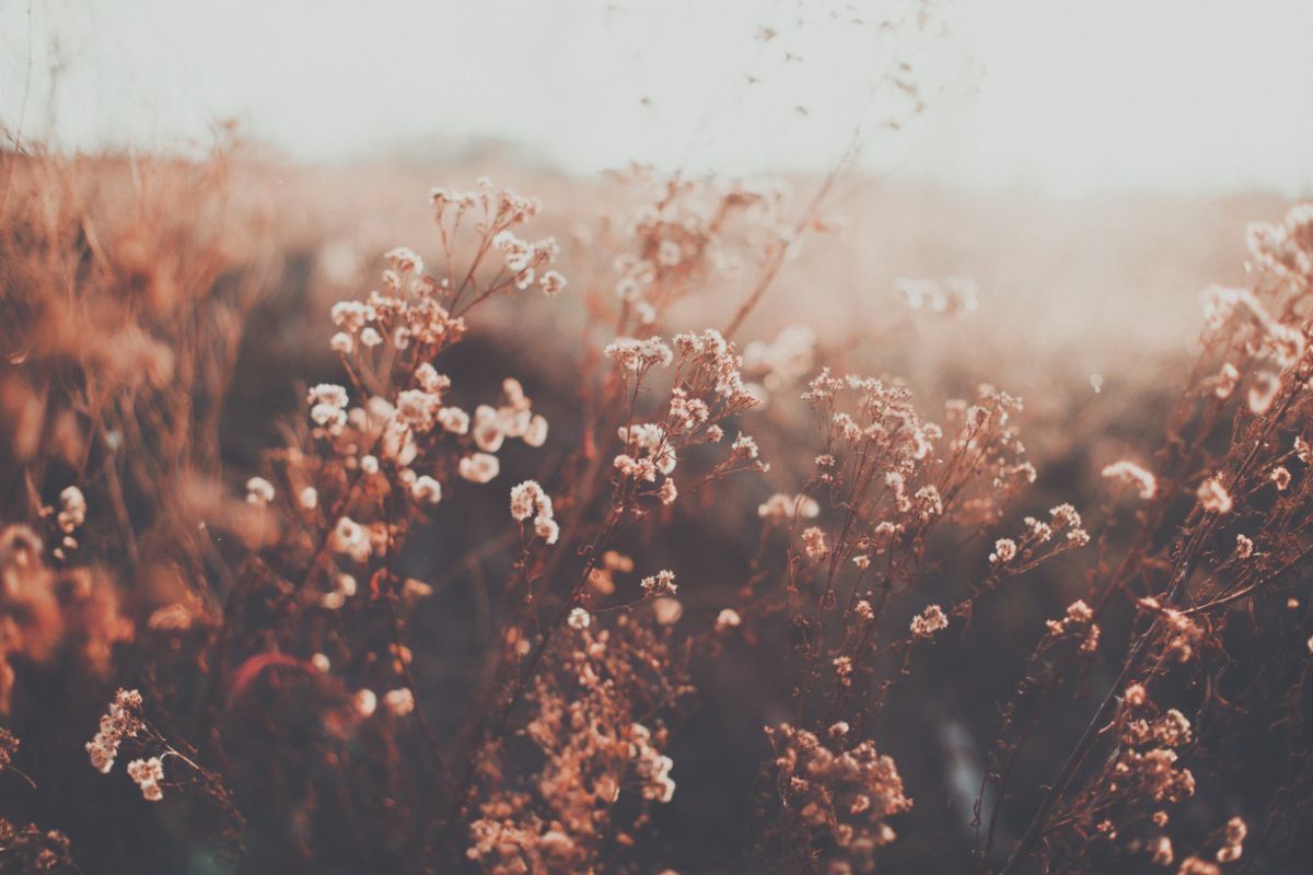 Aesthetic Spring Macbook Wallpapers - Wallpaper Cave