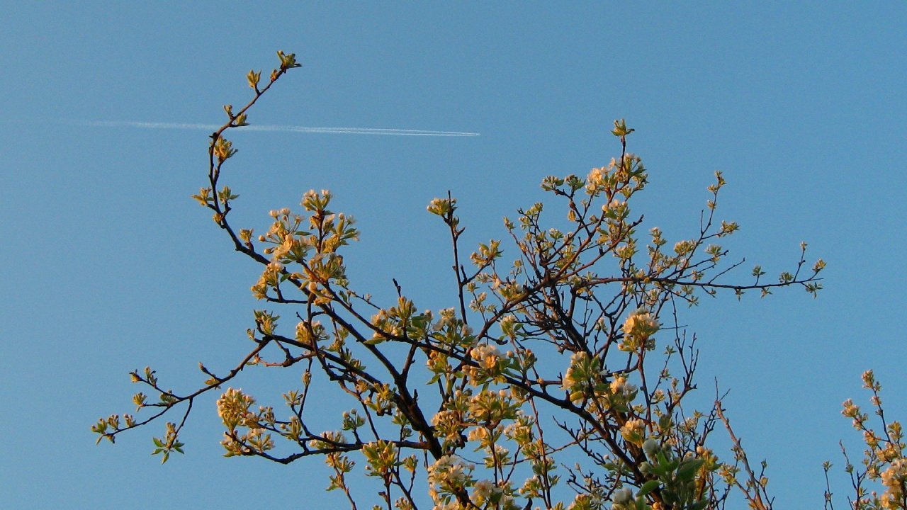 Aesthetic Spring Macbook Wallpapers - Wallpaper Cave