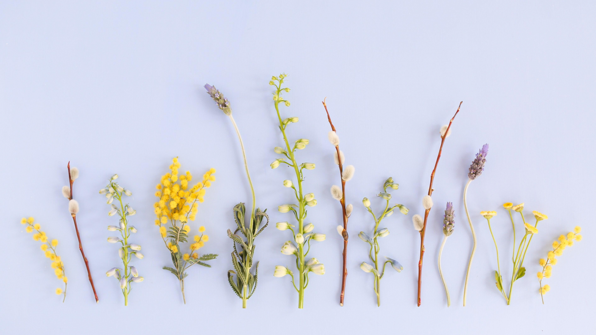 Aesthetic Spring Macbook Wallpapers - Wallpaper Cave