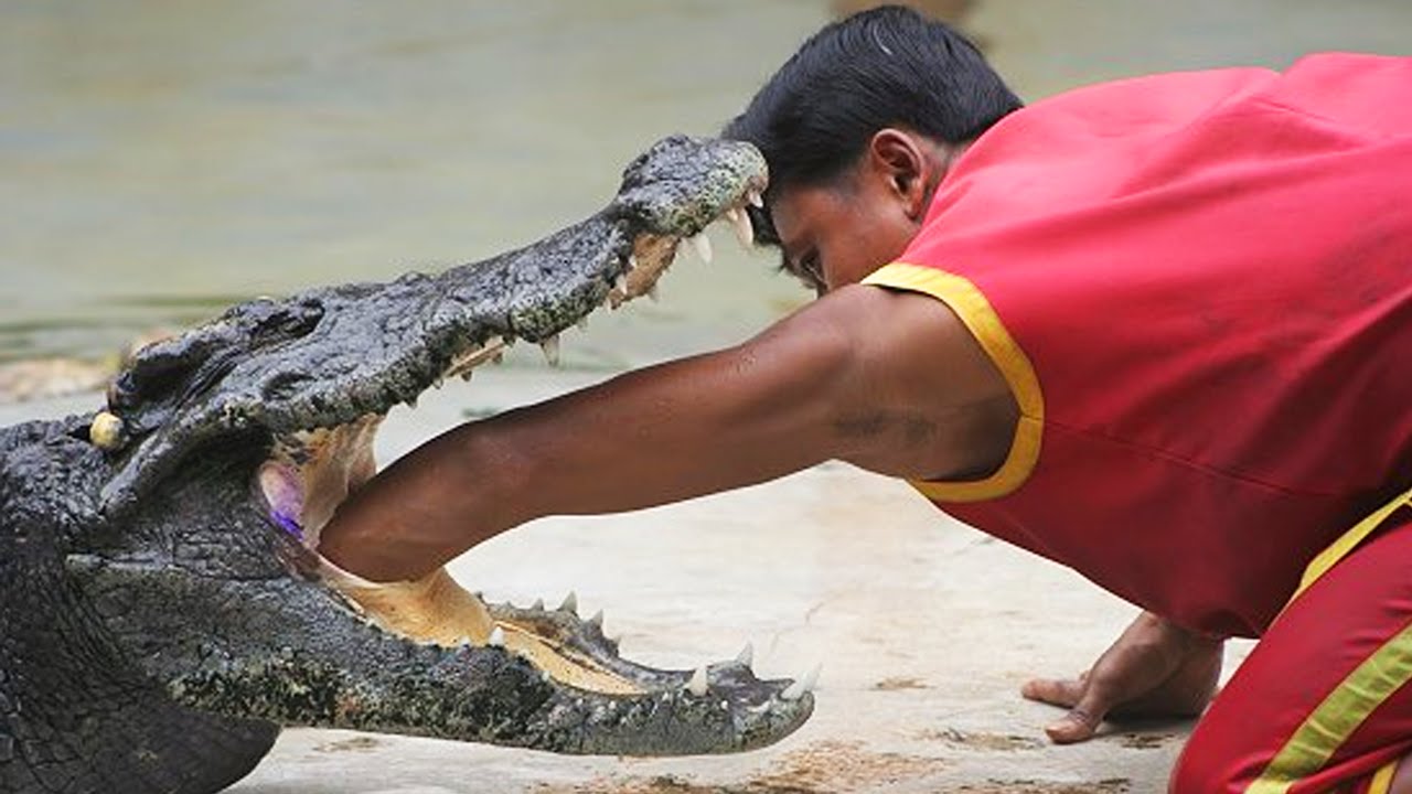 Dangerous Jobs Wallpapers - Wallpaper Cave