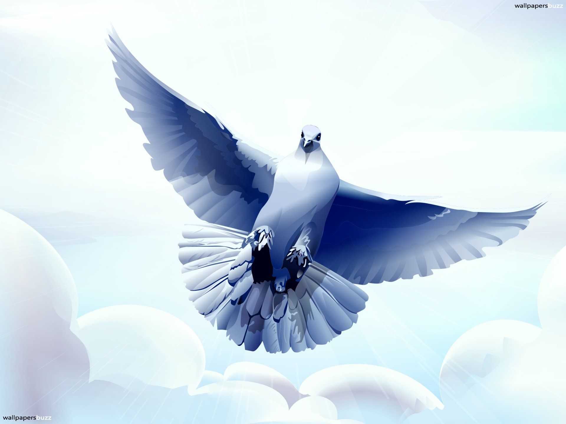 White Dove Desktop Wallpapers - Wallpaper Cave