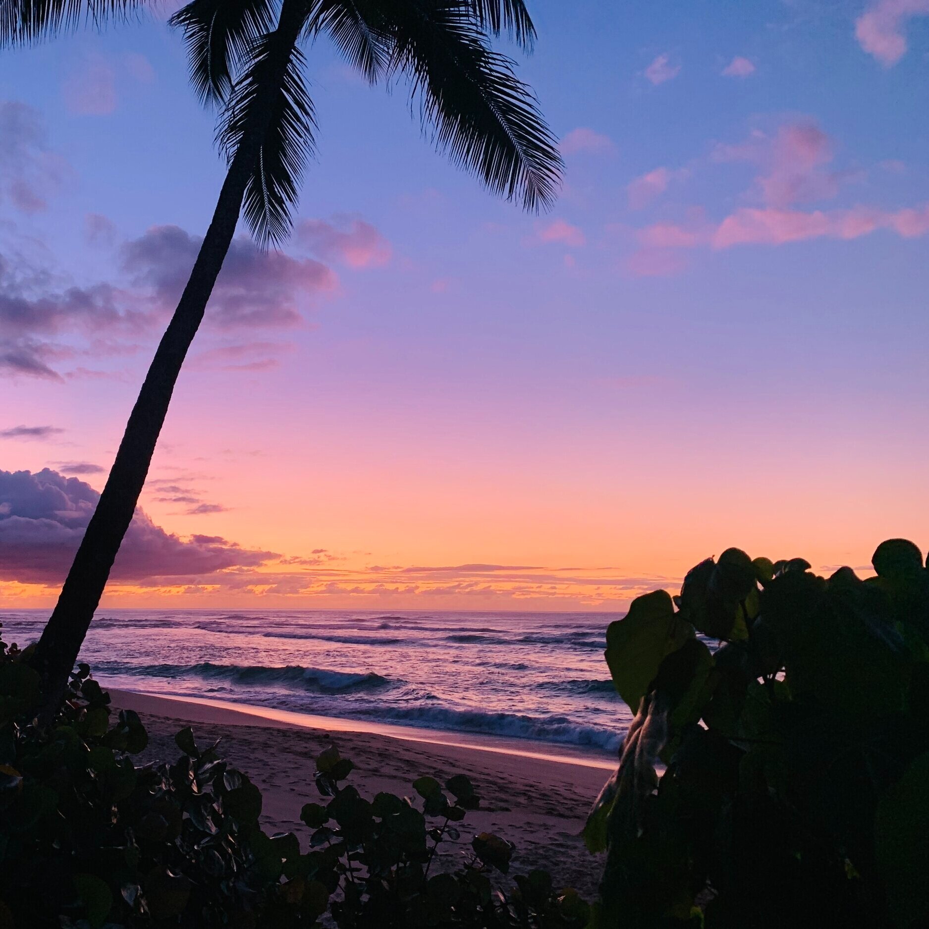 Hawi Sunset Wallpapers - Wallpaper Cave