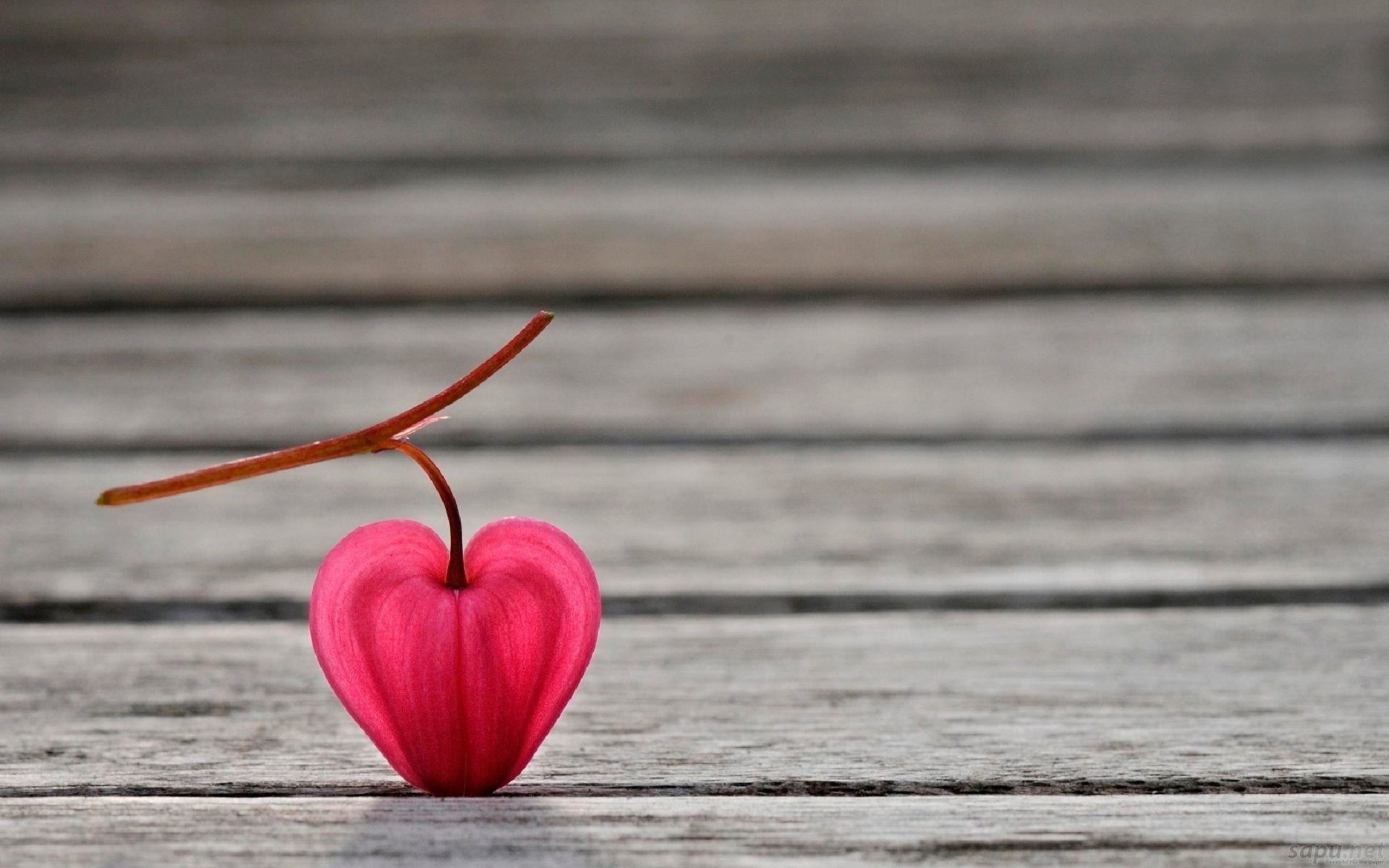 Love Shape Wallpapers - Wallpaper Cave