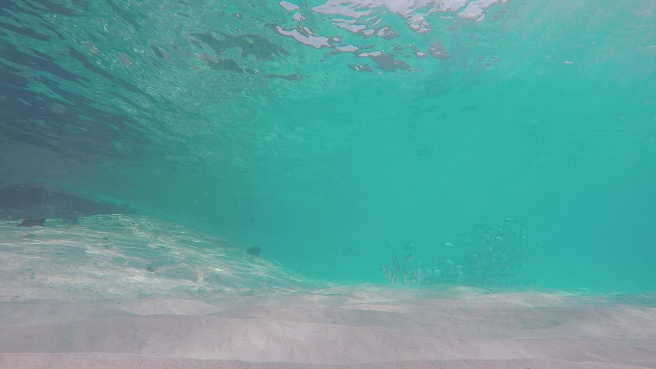 Bottom Of The Sea Wallpapers - Wallpaper Cave