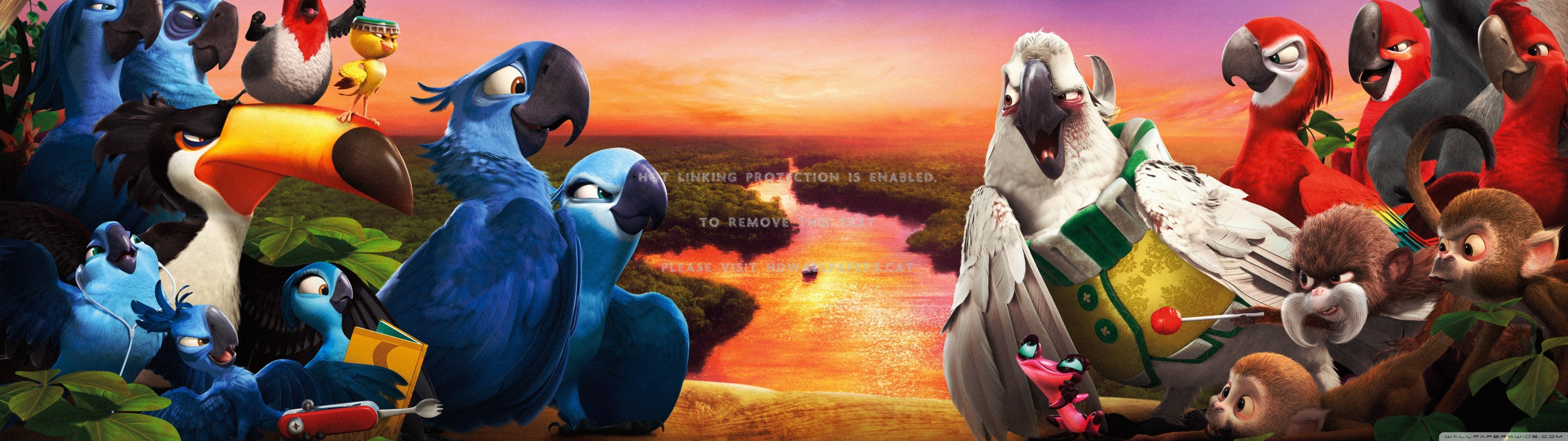 Rio Cartoon Wallpapers - Wallpaper Cave