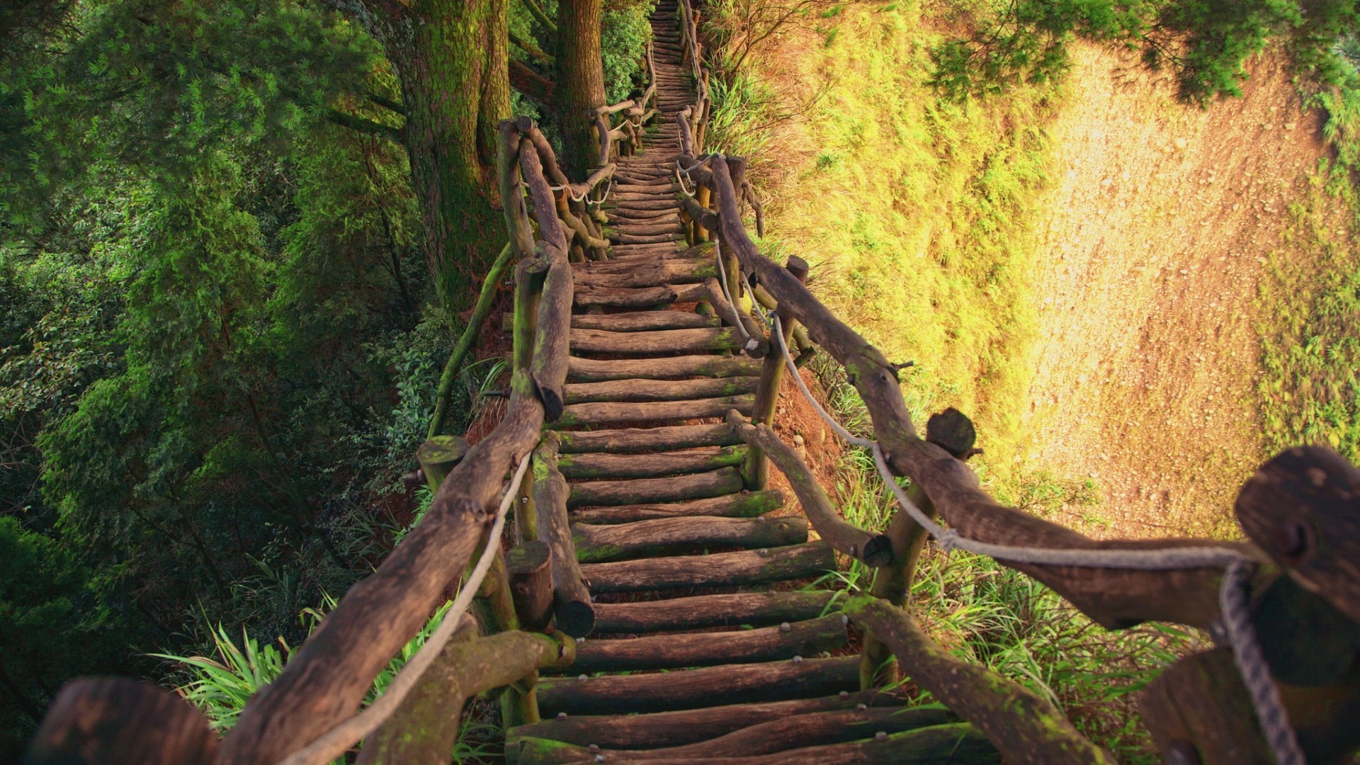 Forest Bridge Wallpapers - Wallpaper Cave