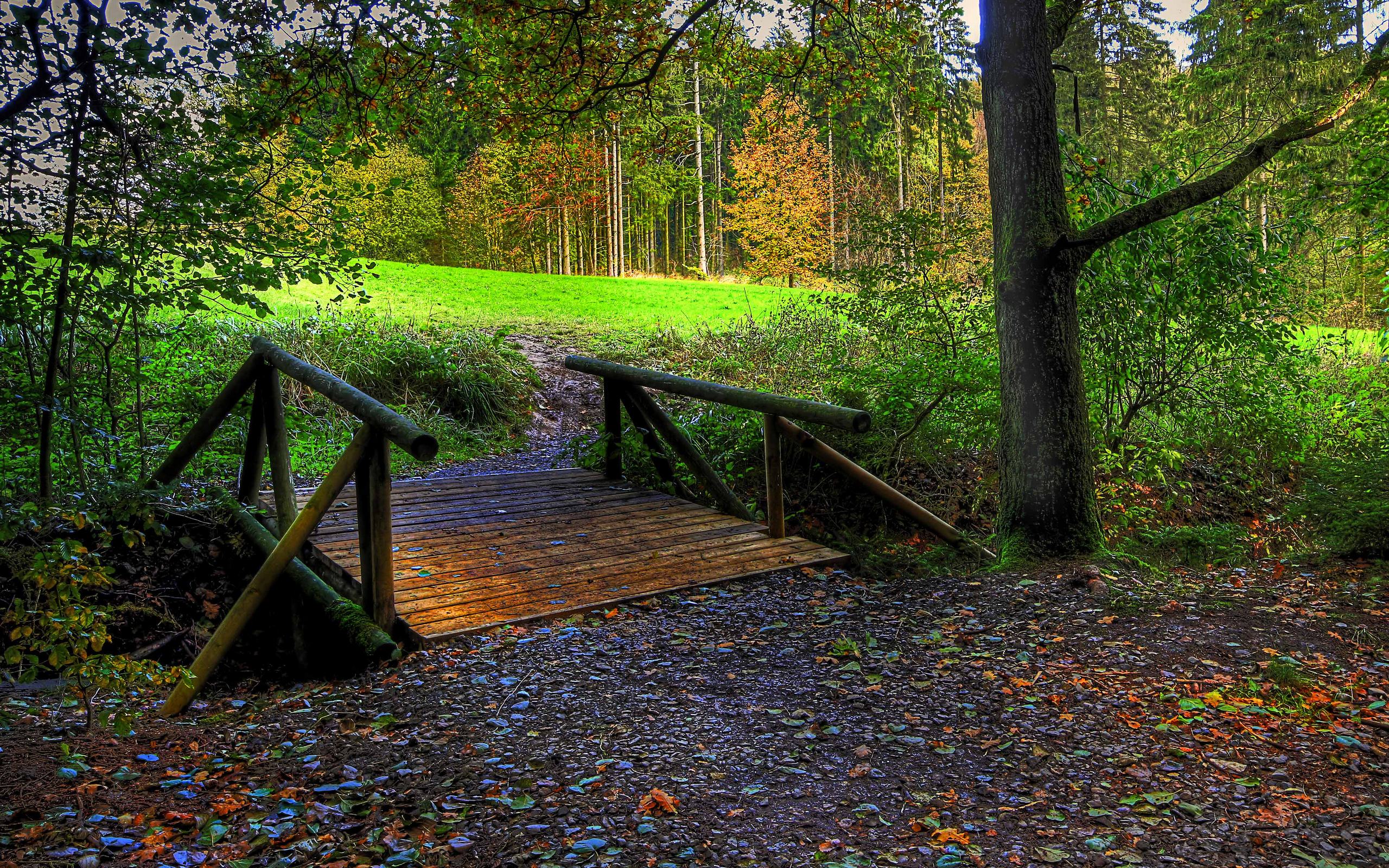 Forest Bridge Wallpapers - Wallpaper Cave
