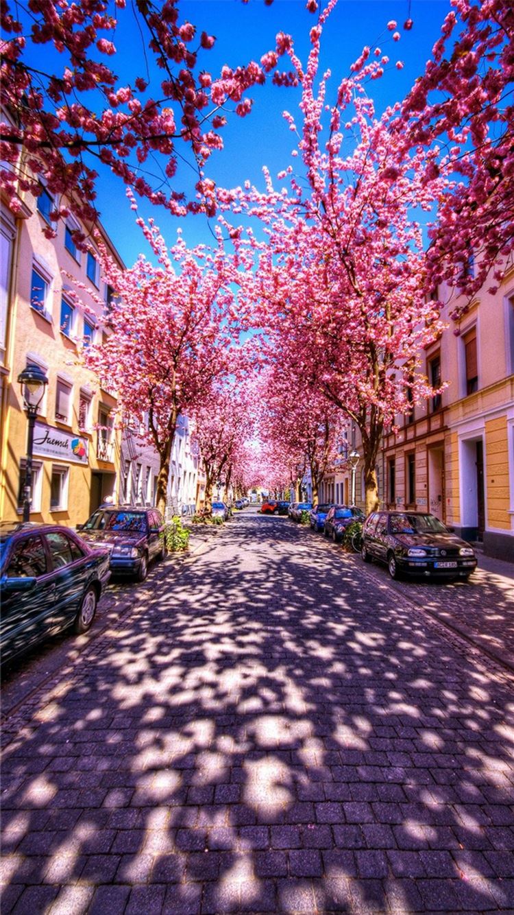Spring Streets Wallpapers - Wallpaper Cave
