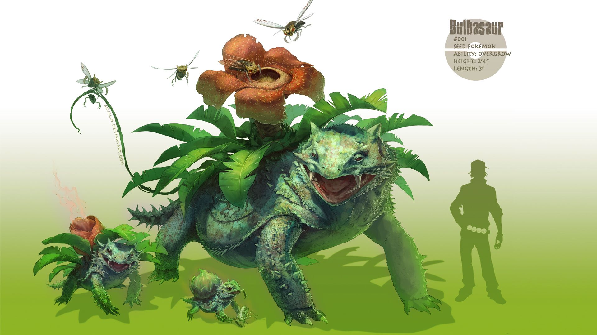 Pokémon Real Life Wallpapers - Wallpaper Cave