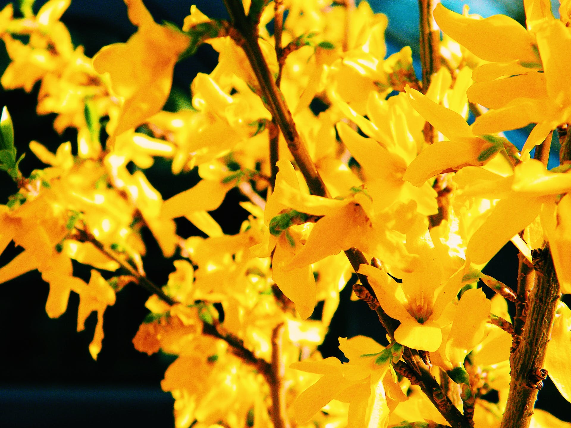 Greece Spring Wallpapers - Wallpaper Cave