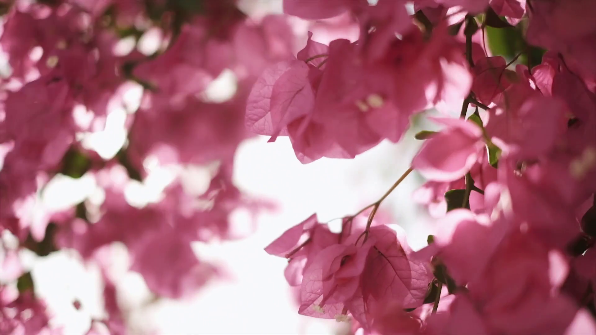 Greece Spring Wallpapers - Wallpaper Cave