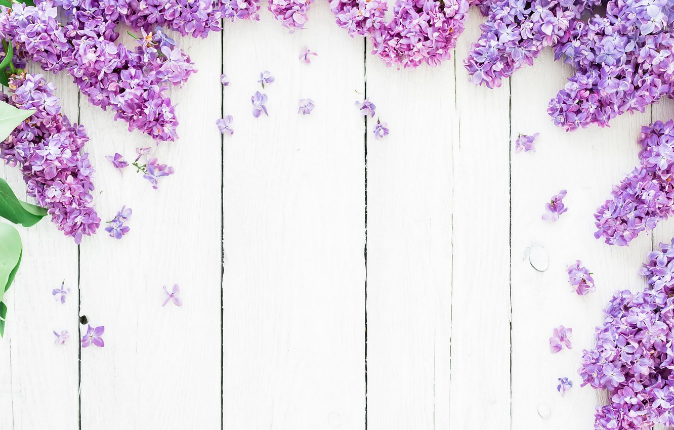 Purple Flowers Spring Wallpapers - Wallpaper Cave