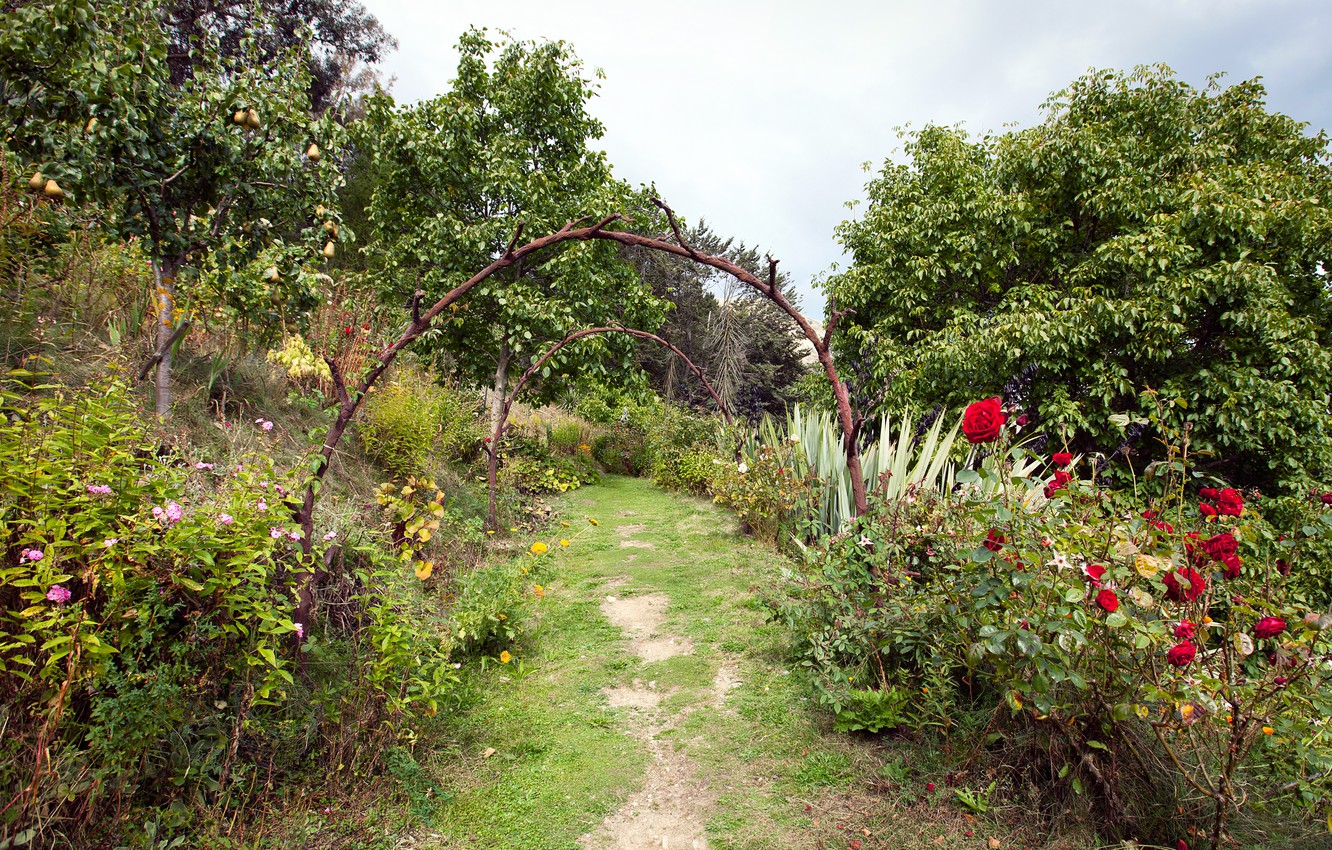 Rose Path Wallpapers - Wallpaper Cave