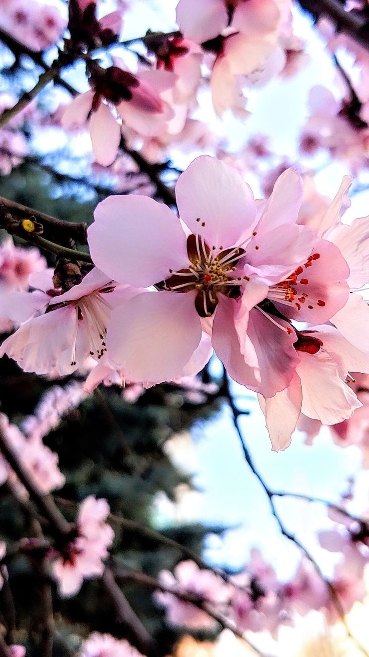 Colourful Spring Wallpapers - Wallpaper Cave