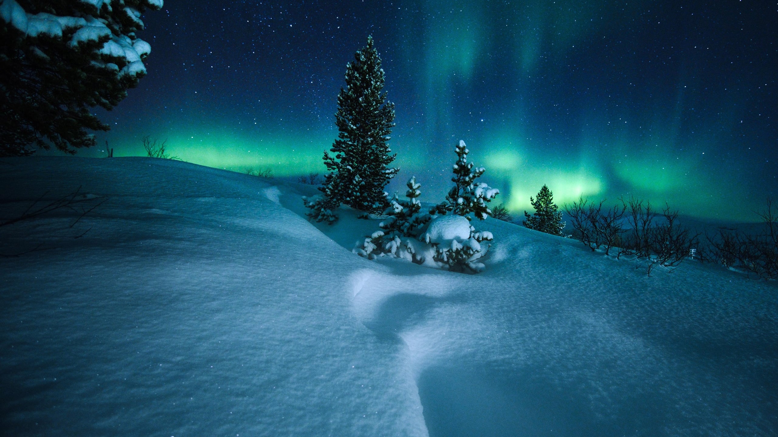 Winter Night Lights Wallpapers - Wallpaper Cave
