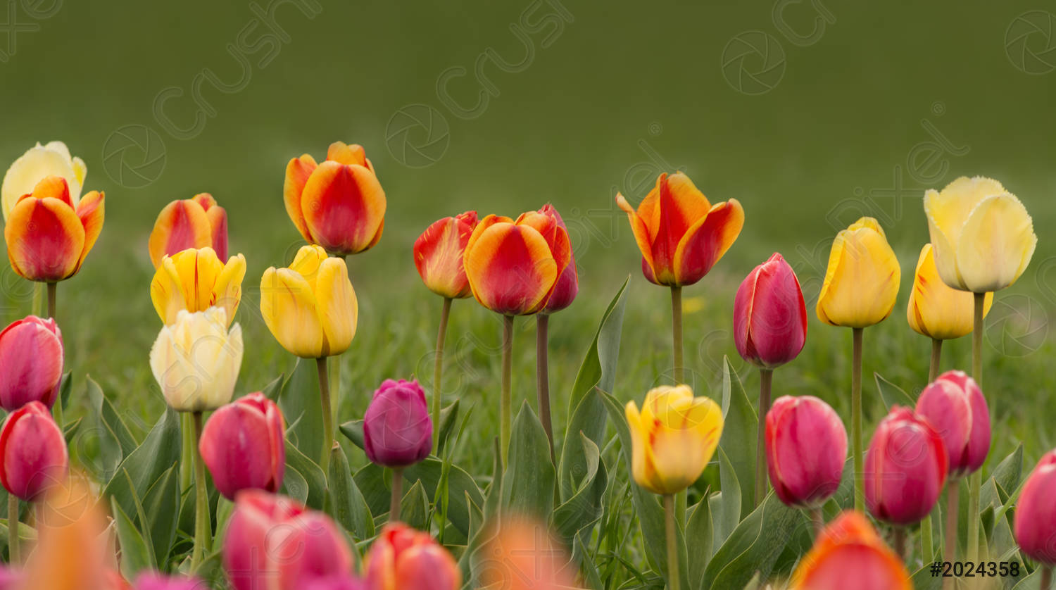 Horizontal Spring Wallpapers - Wallpaper Cave