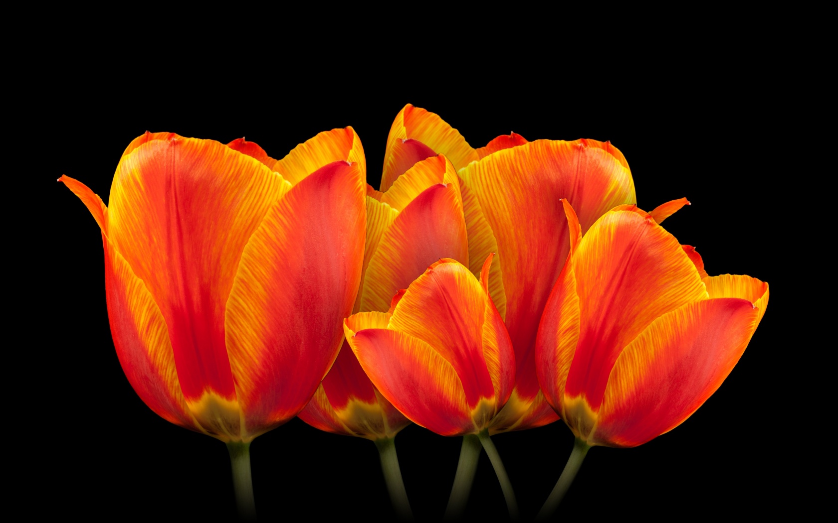 Spring Orange Wallpapers - Wallpaper Cave