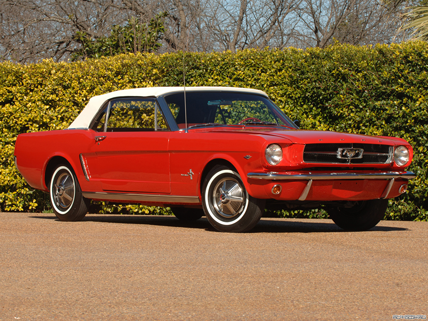 1964 Red Mustang Wallpaper Ford Mustang 1966 Kleinanzeigen.de