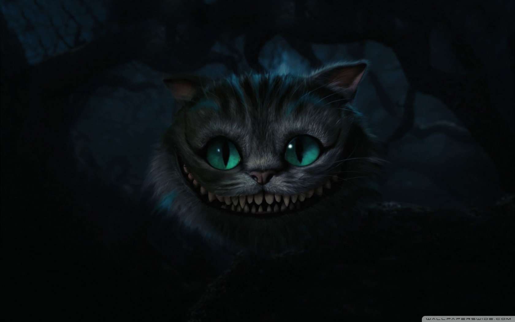 Cat Demon King Wallpapers - Wallpaper Cave