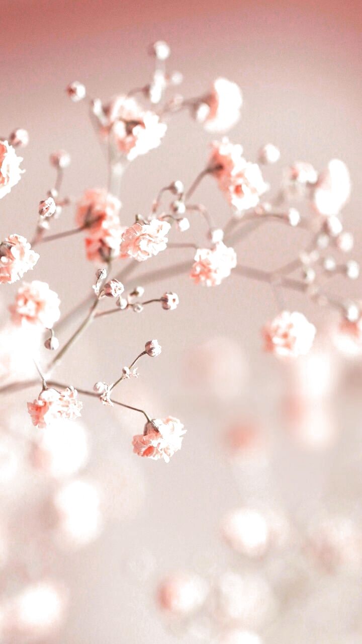 Colour Spring Wallpapers - Wallpaper Cave