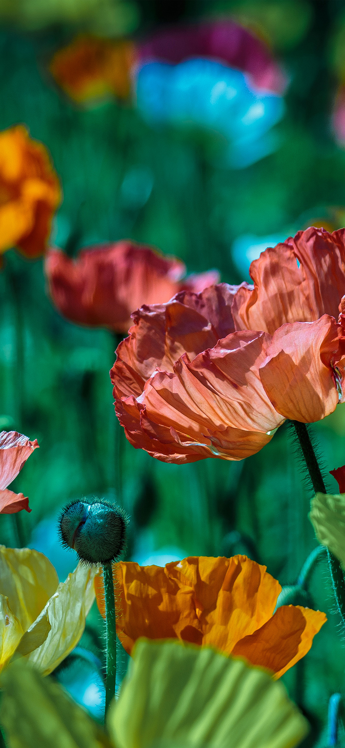 Colour Spring Wallpapers - Wallpaper Cave