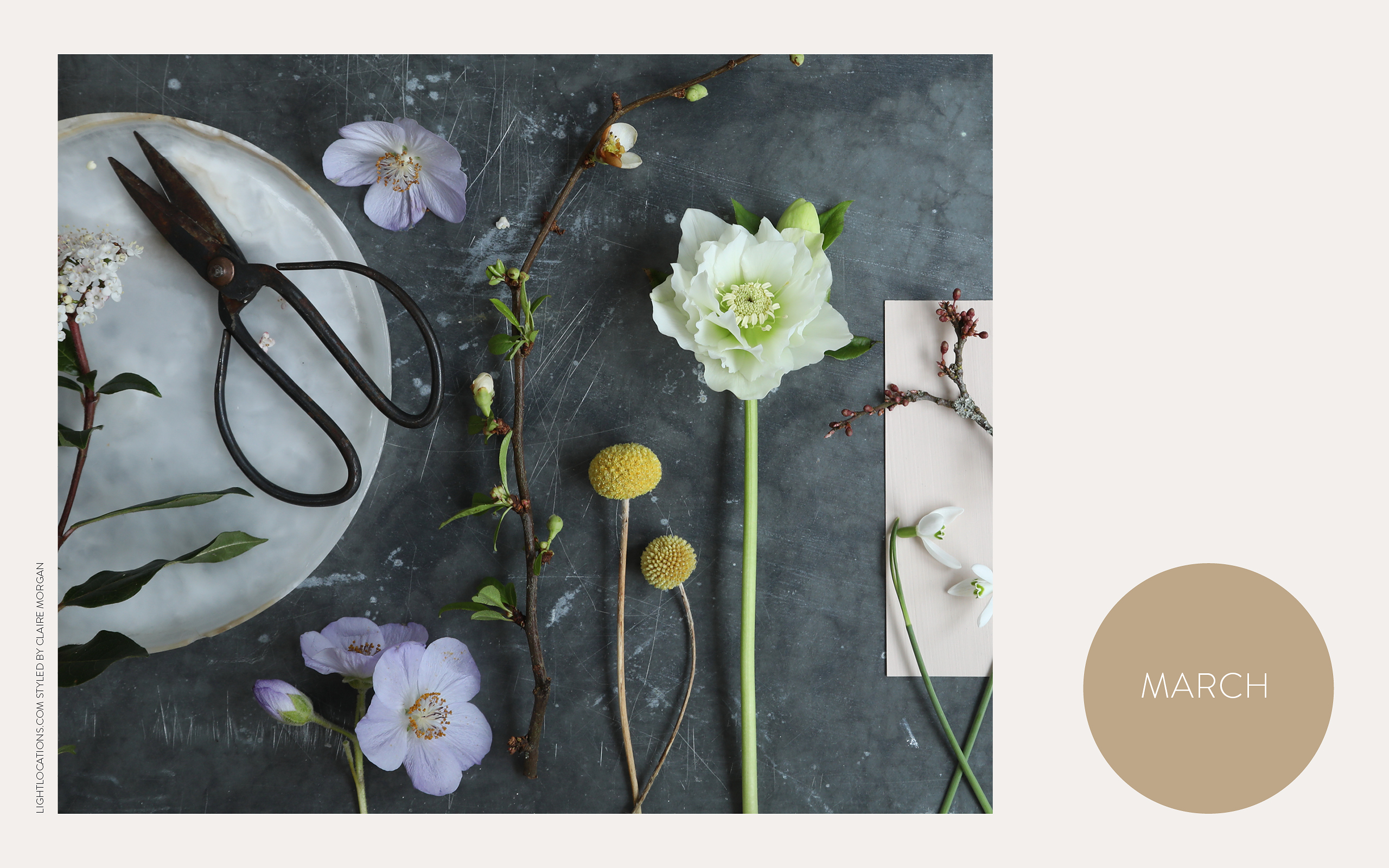 Mood Board Spring Wallpapers - Wallpaper Cave