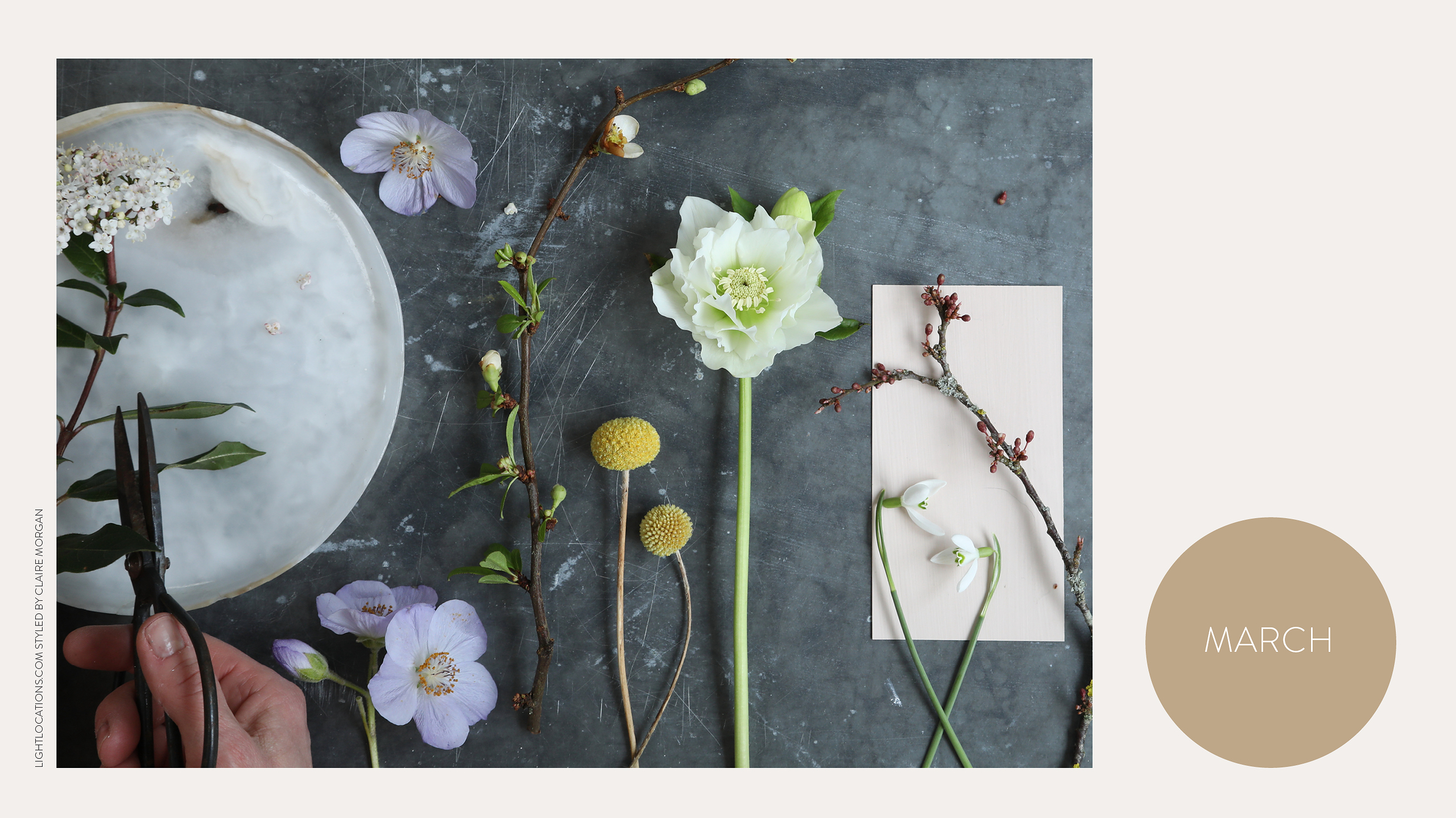 Mood Board Spring Wallpapers - Wallpaper Cave