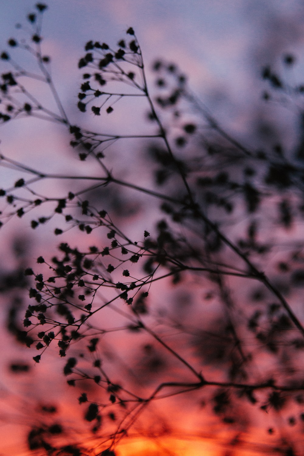 Colour Spring Wallpapers - Wallpaper Cave