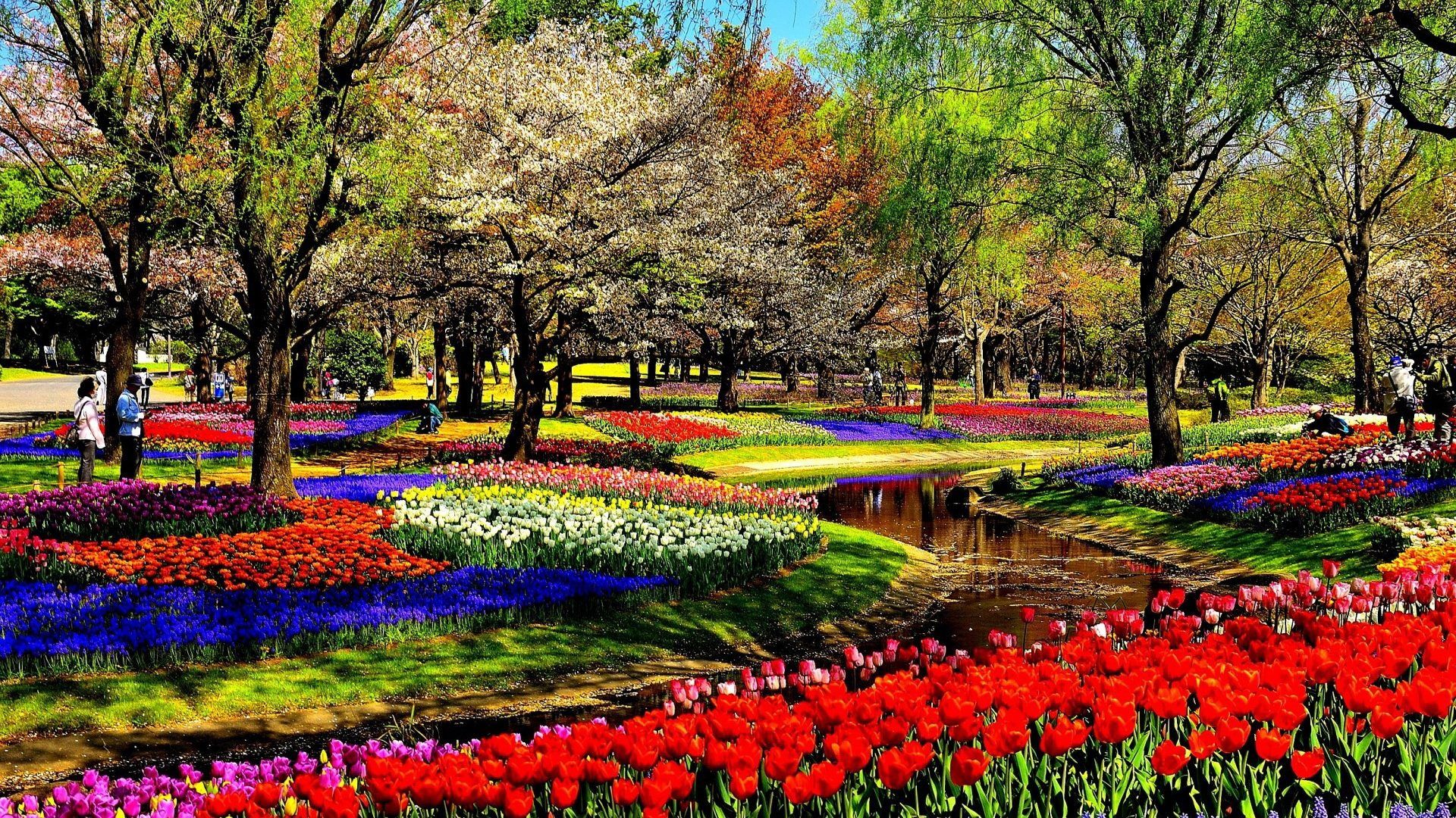 1920x1080 Spring Gardens Wallpapers - Wallpaper Cave