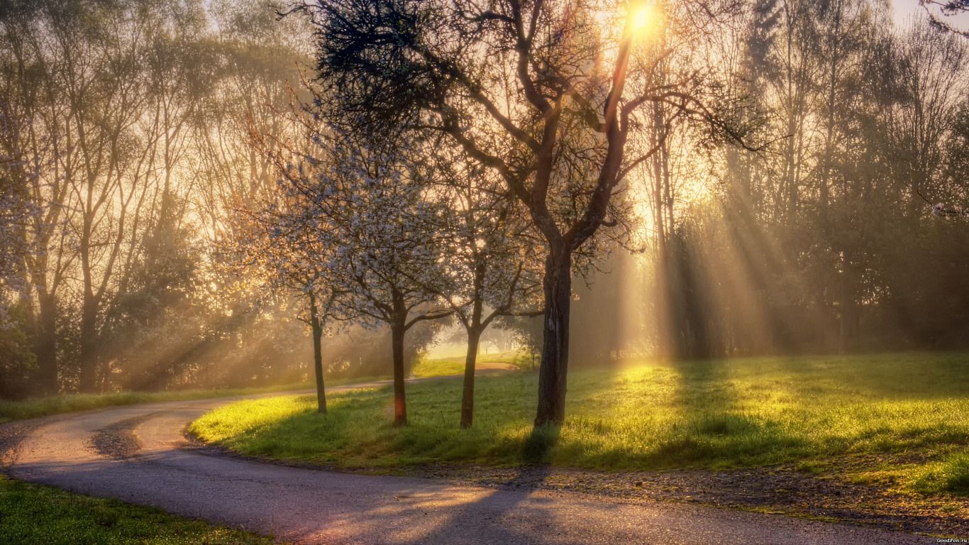 Spring Sunlight Wallpapers - Wallpaper Cave