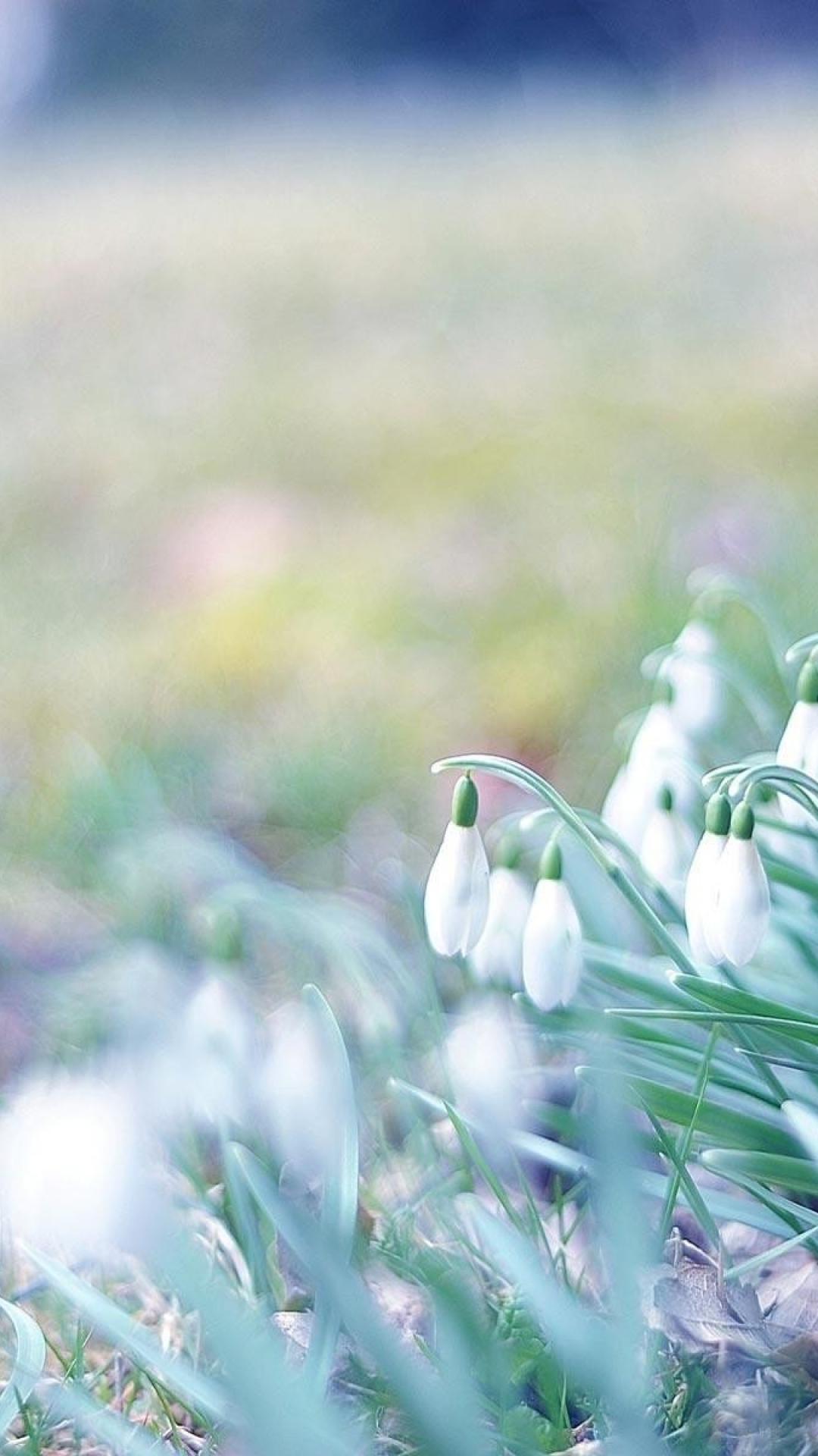 Vintage Spring Flowers Wallpapers - Wallpaper Cave