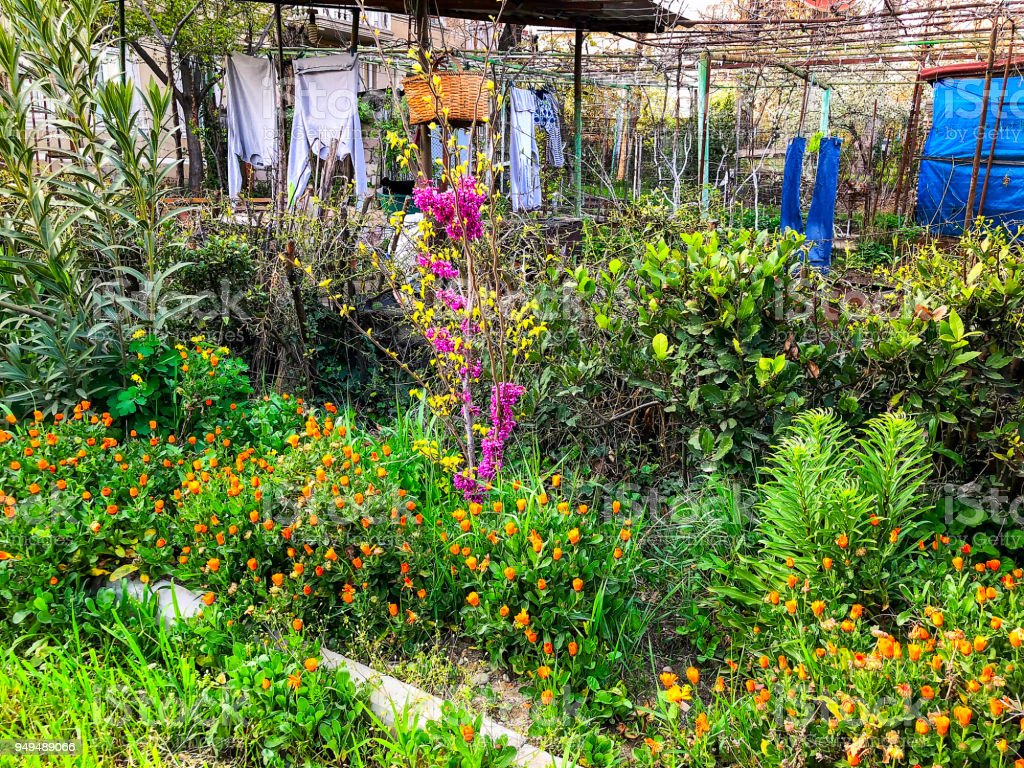 Village Spring Flowers Wallpapers - Wallpaper Cave