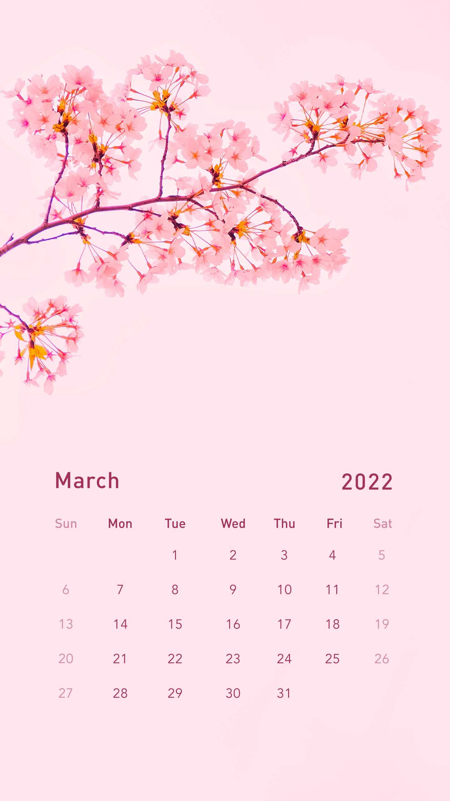Spring 2022 Wallpapers - Wallpaper Cave